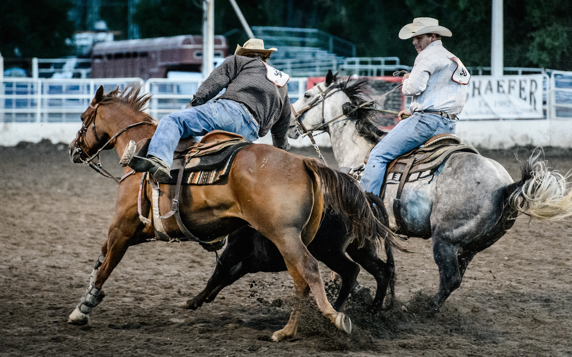 Steer Wrestling | Steamboat Pro Rodeo