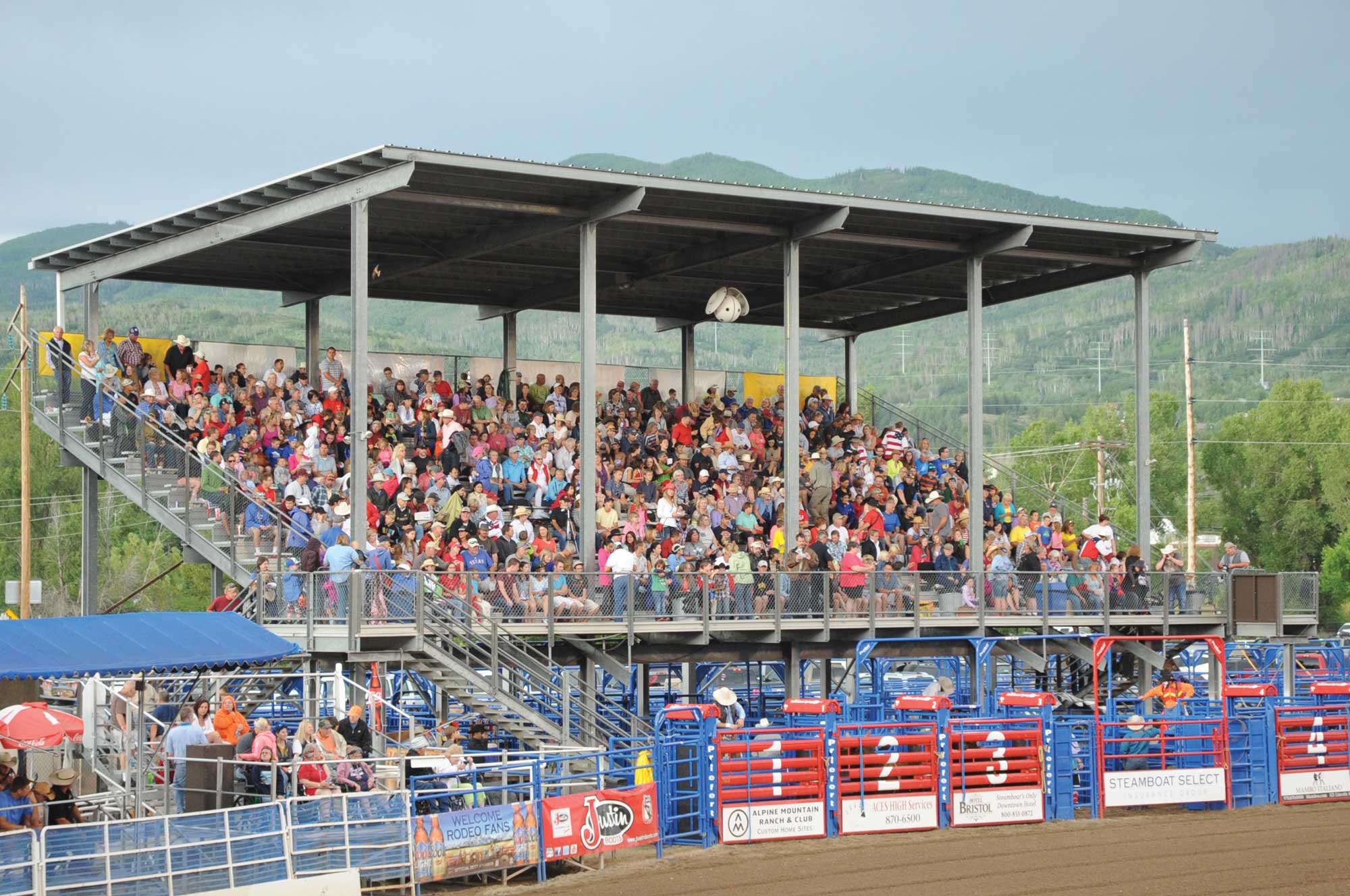 Calf Scramble | Steamboat Pro Rodeo