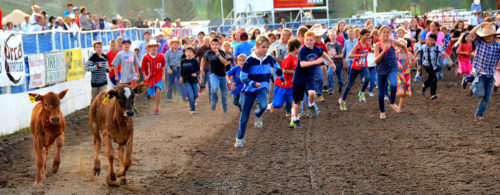 Buy Tickets | Steamboat Pro Rodeo