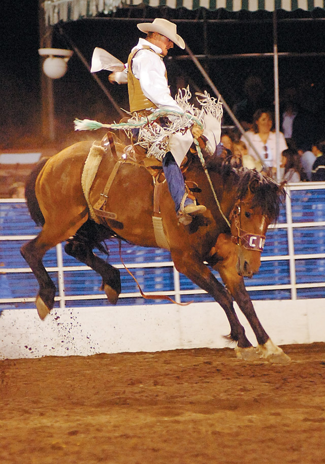 Saddle Bronc Riding | Steamboat Pro Rodeo